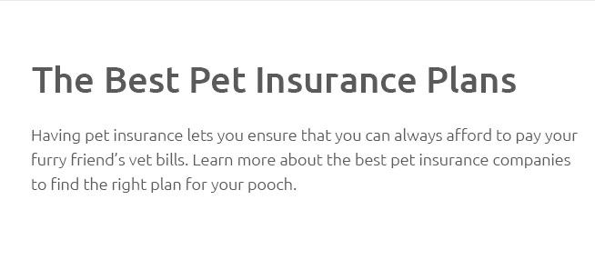 Compare Pets Insurance 🐶 Jul 2025